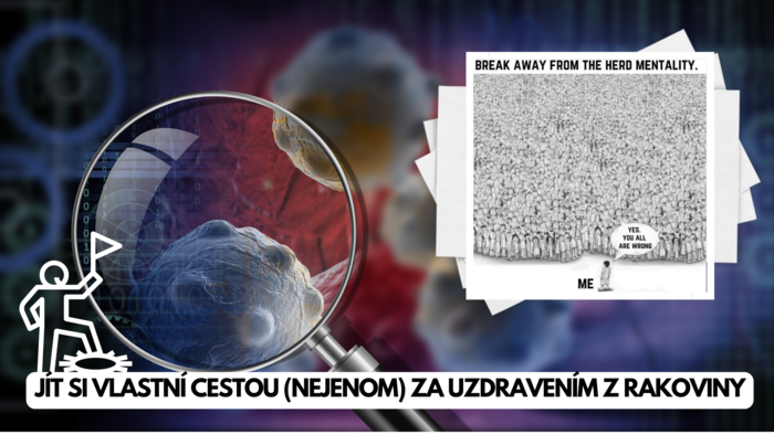 [Článek z Blogu] Jít si vlastní cestou (nejenom) za uzdravením z ...